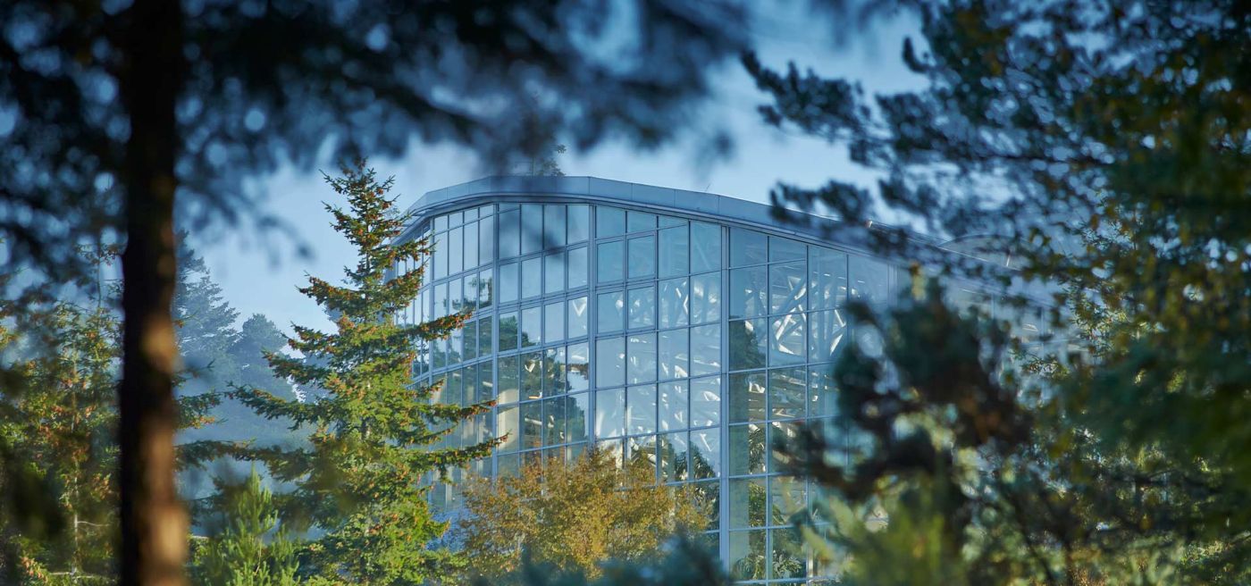 Discover Whinfell Forest