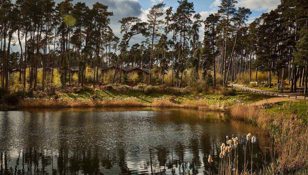 Discover Woburn Forest