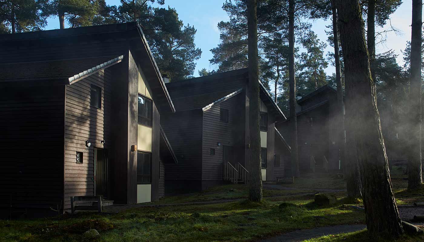 Whinfell Forest images