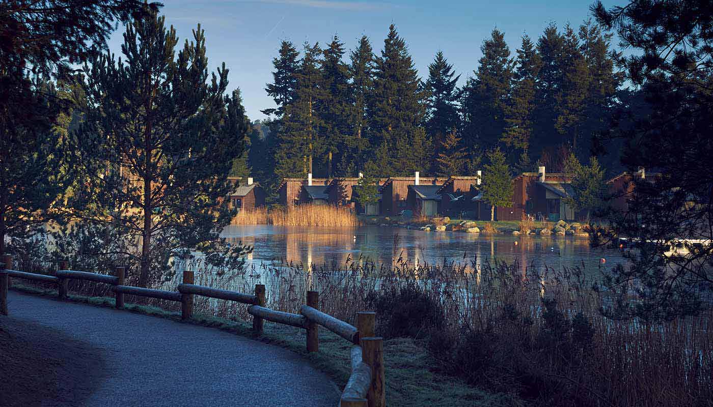 Whinfell Forest images